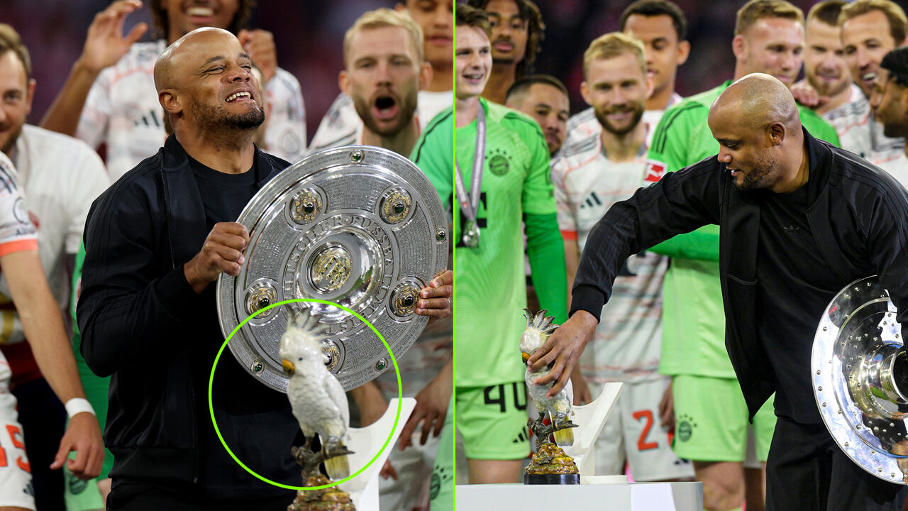 Kompany Bird Image: Title Party Explained - Archysport