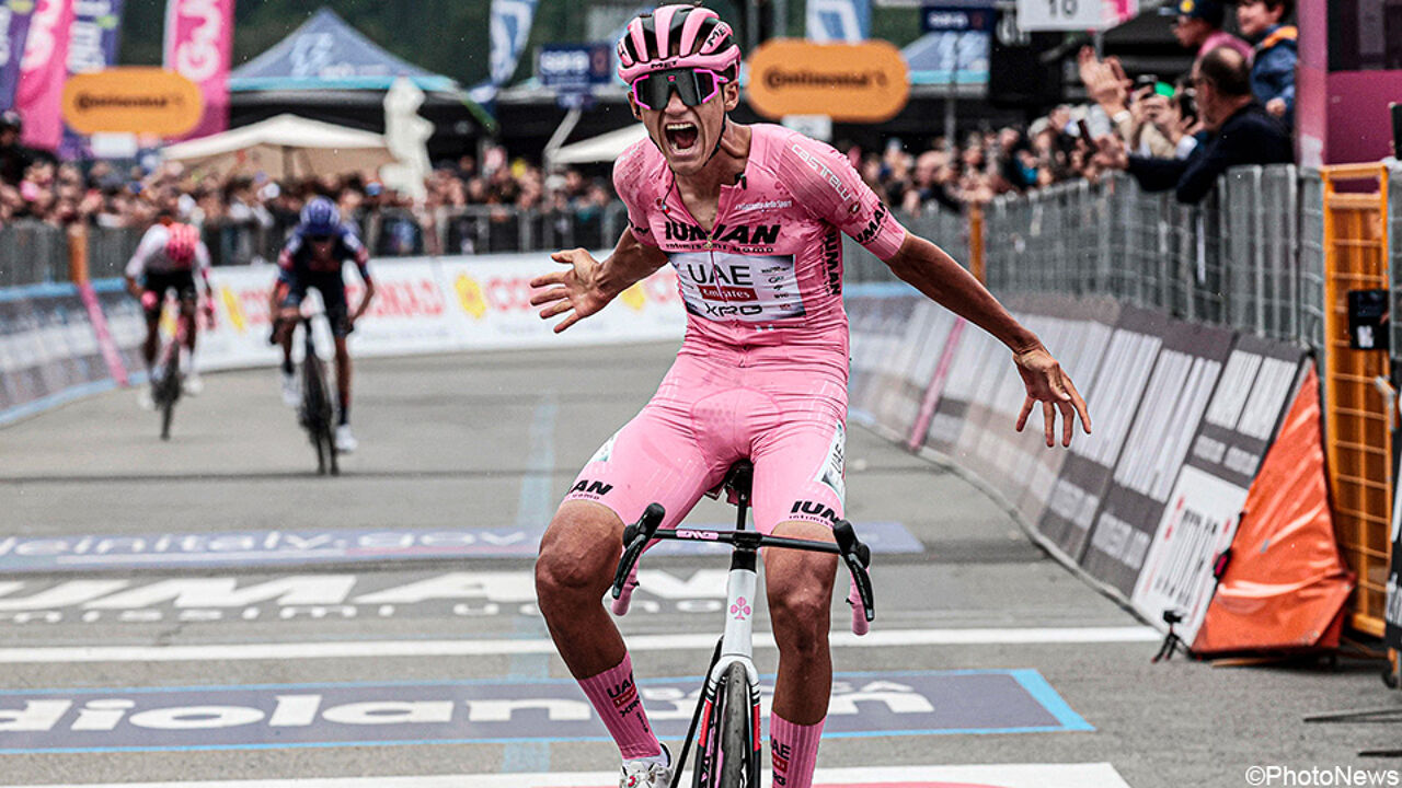 Alive and kicking: sluwe en handige roze trui Isaac del Toro ...